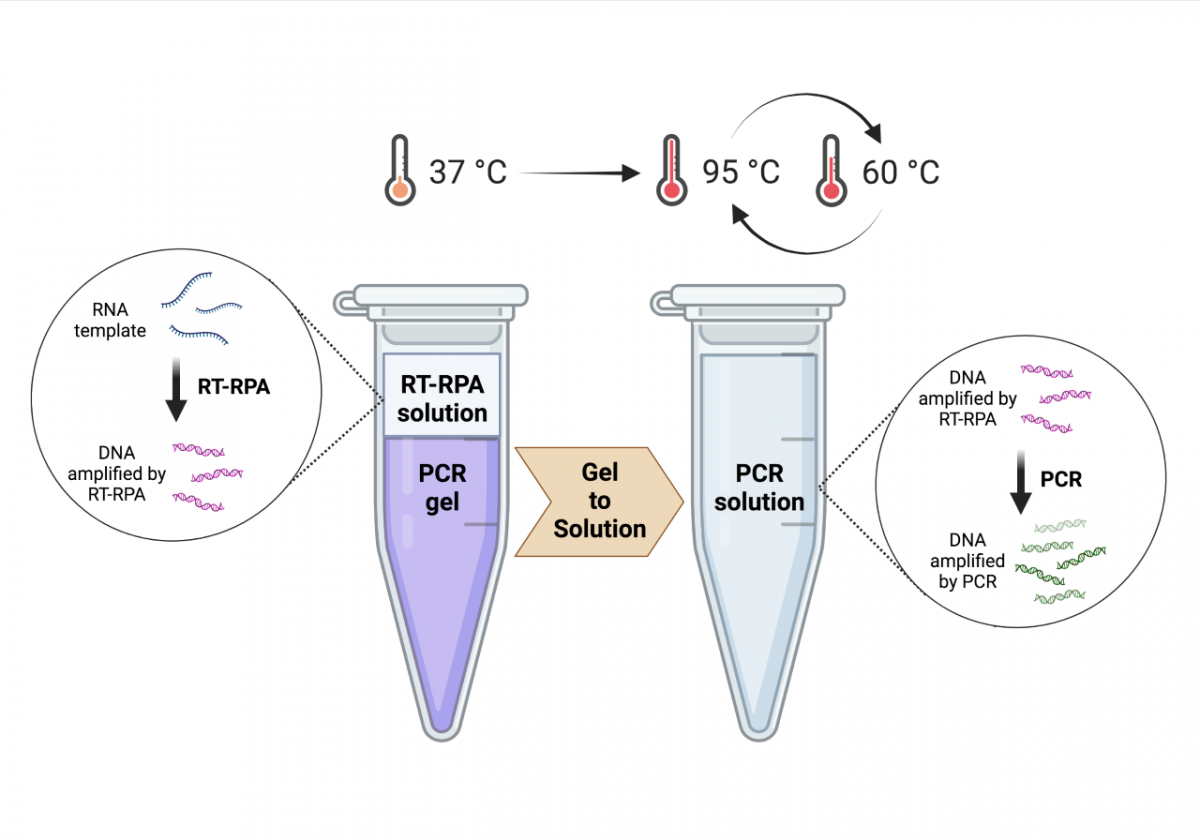 Publications | Synthetic Biology and Smart Medical Device Laboratory